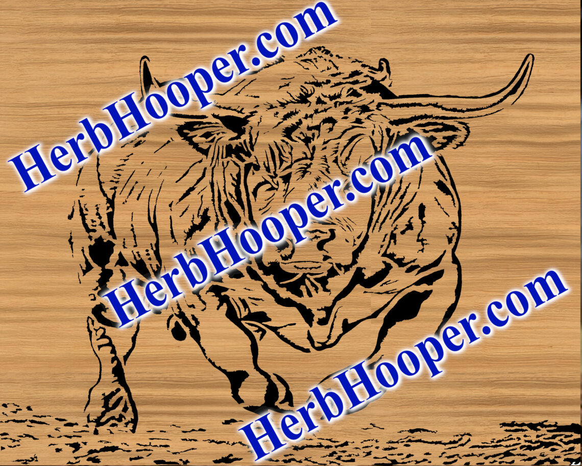 Bull Pattern - Herb's Scrolling Station